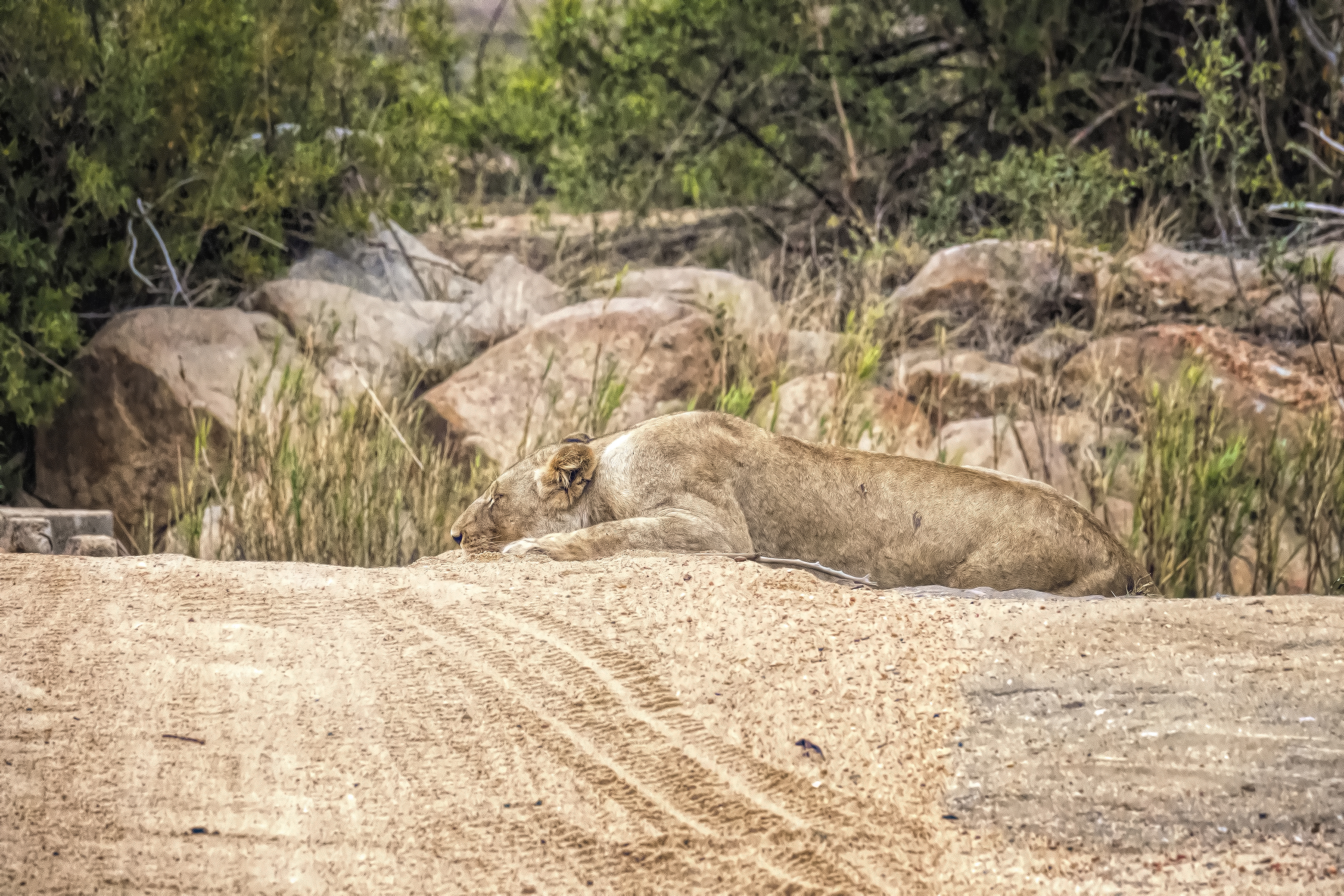 Taking A Break | Shutterbug
